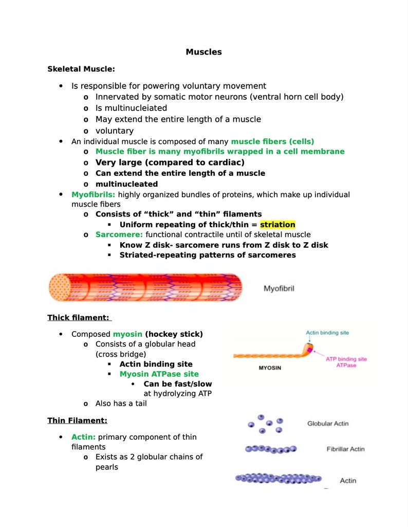 Human Physiology Notes for unit 1homeostasis, Fluid Concentrations ...