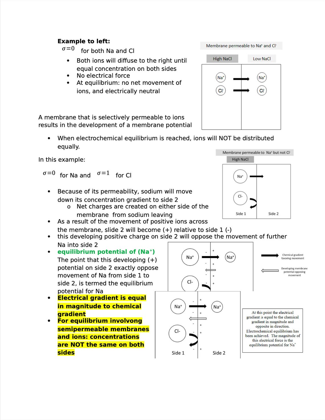 Human Physiology Notes for unit 1homeostasis, Fluid Concentrations ...