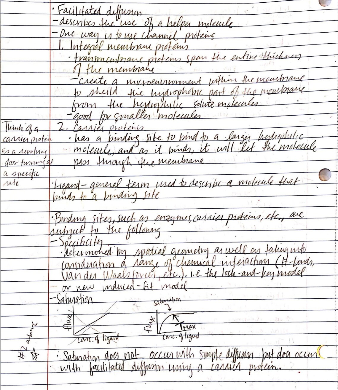 Human Physiology Notes for unit 1homeostasis, Fluid Concentrations ...