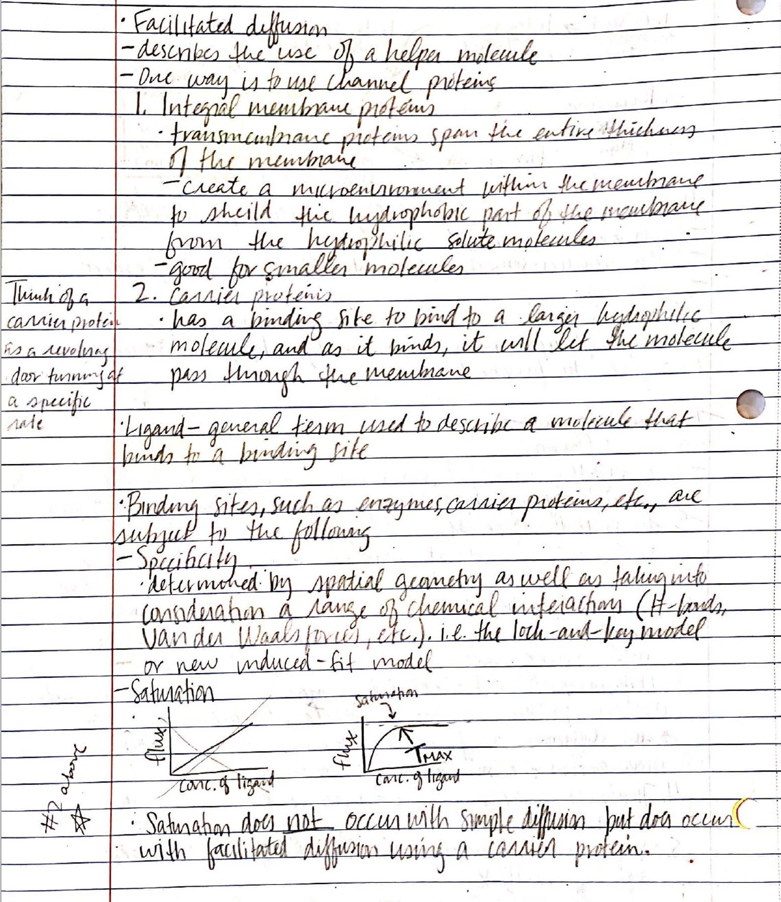 Human Physiology Notes for unit 1homeostasis, Fluid Concentrations ...