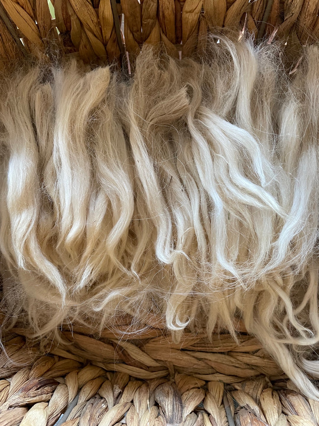 Alice 1oz Raw Suri Alpaca Fiber White (unwashed) - Etsy