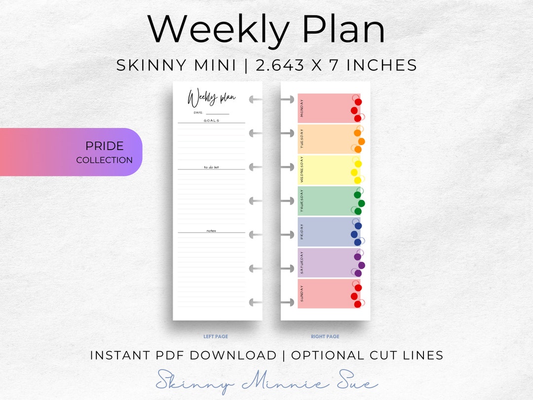 Skinny Mini Pride Weekly Planner Inserts: Rainbow Disc Planner (digital ...
