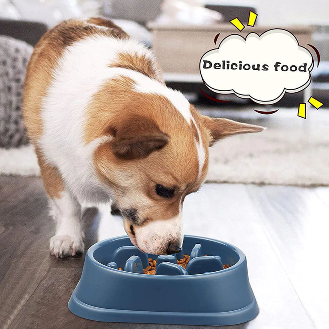 Pet Dishes, Dog Slow Feeder, Slow Feeder, Dog Slow Feeder Bowl, Slow ...