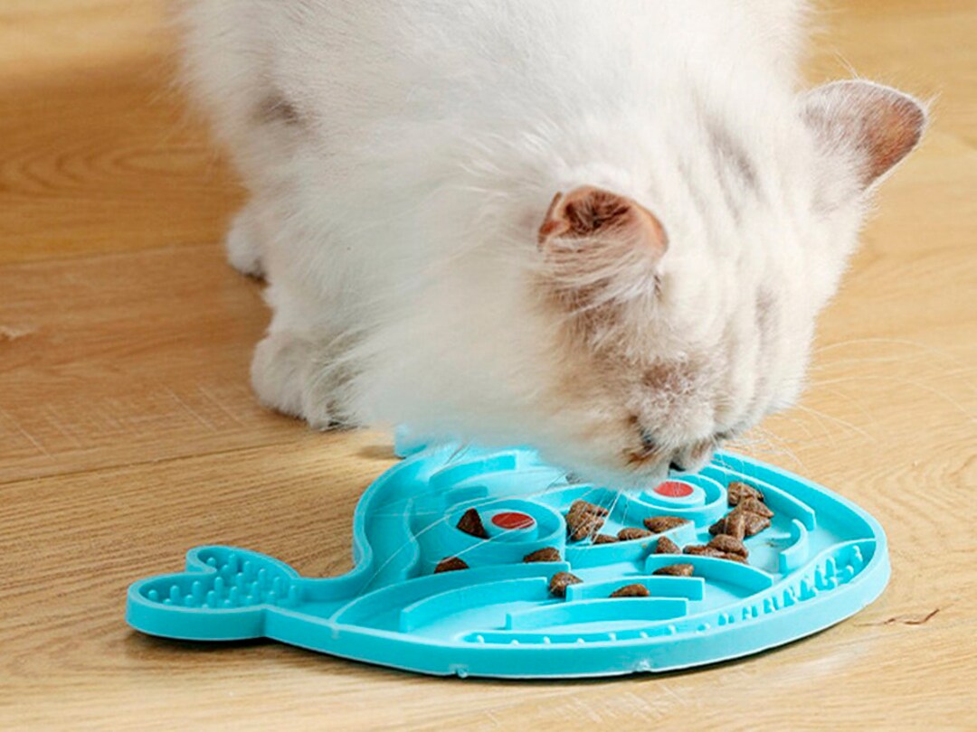 Cat Dishes, Pet Dishes, Pet Slow Feed, Cat Slow Feeder, Small Slow ...