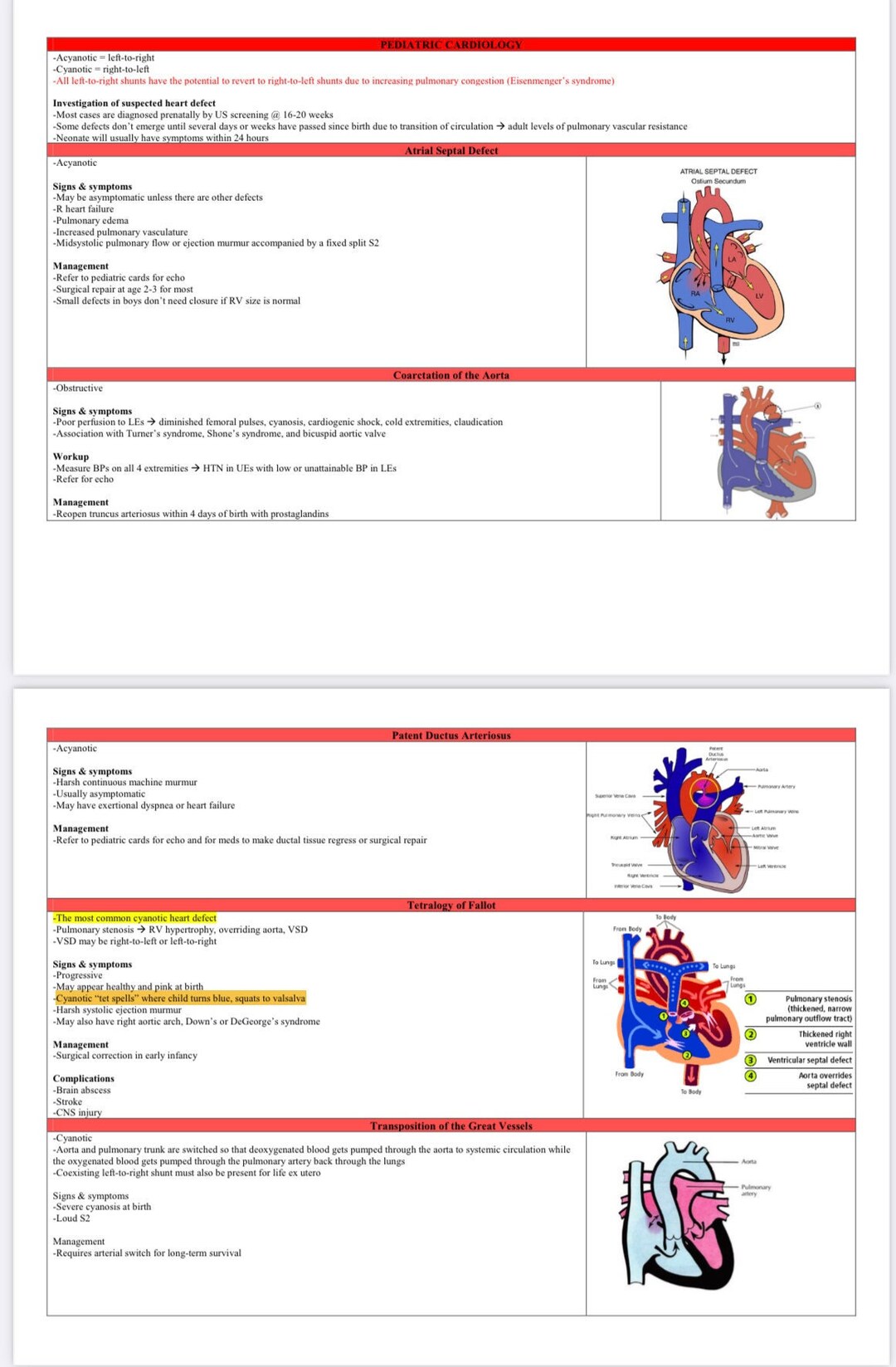 Pediatric Study Guide For - Etsy Pediatric Study Guide For - Etsy
