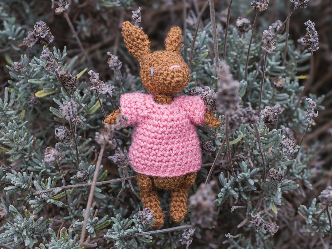 Crochet Rabbit Pattern: Roswin Amigurumi Toy (PDF Pattern) - Etsy