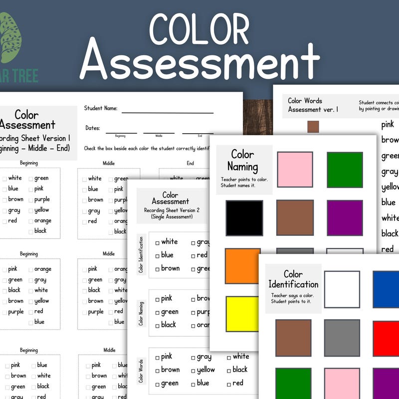 Preschool Assessment - Etsy