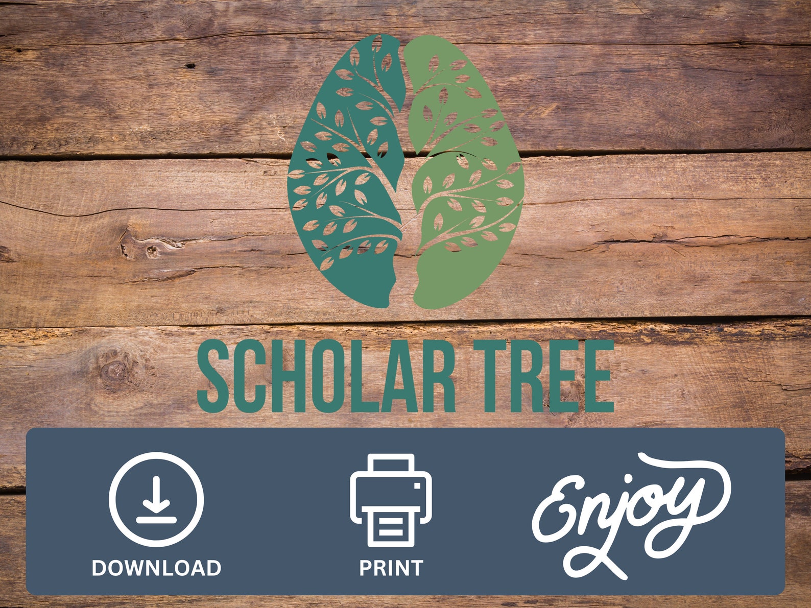 Printable Alphabet Flashcards, Alphabet Bundle, Preschool Alphabet ...