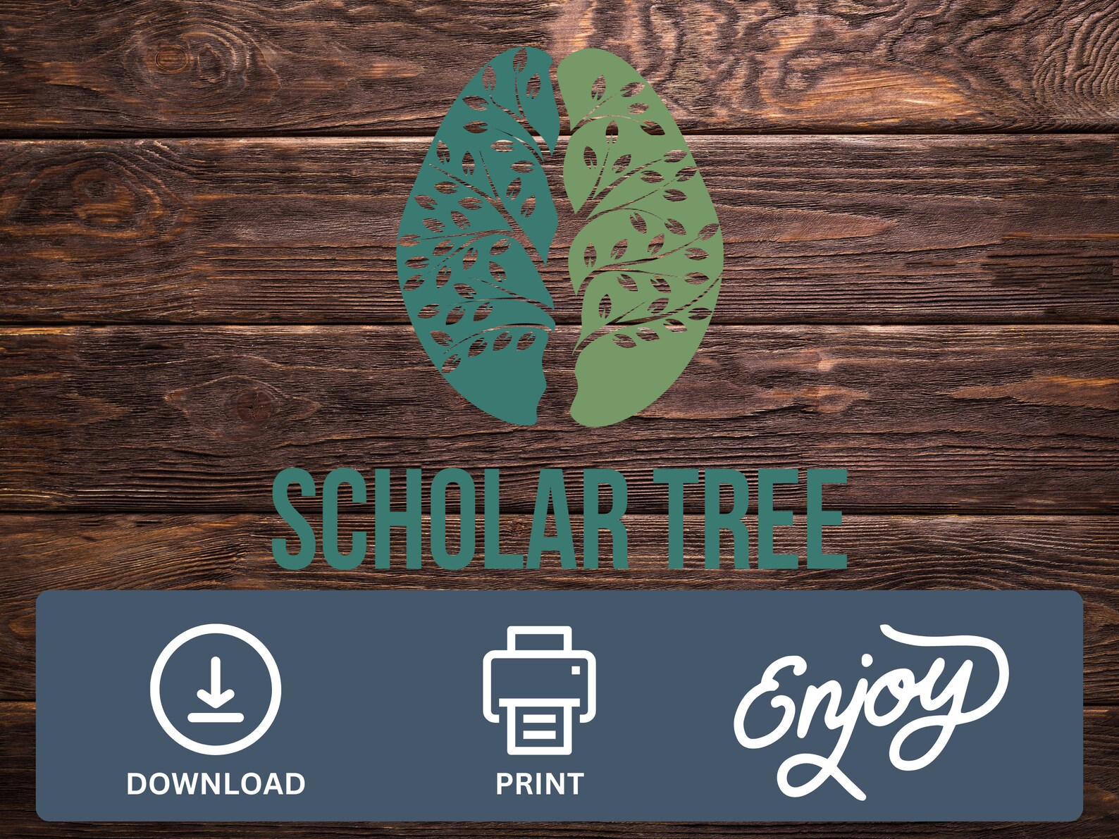 6 Syllable Types Poster, Phonics Printable, Reading Help, Digital PDF ...