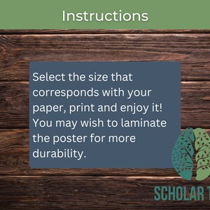 6 Syllable Types Poster, Phonics Printable, Reading Help, Digital PDF ...