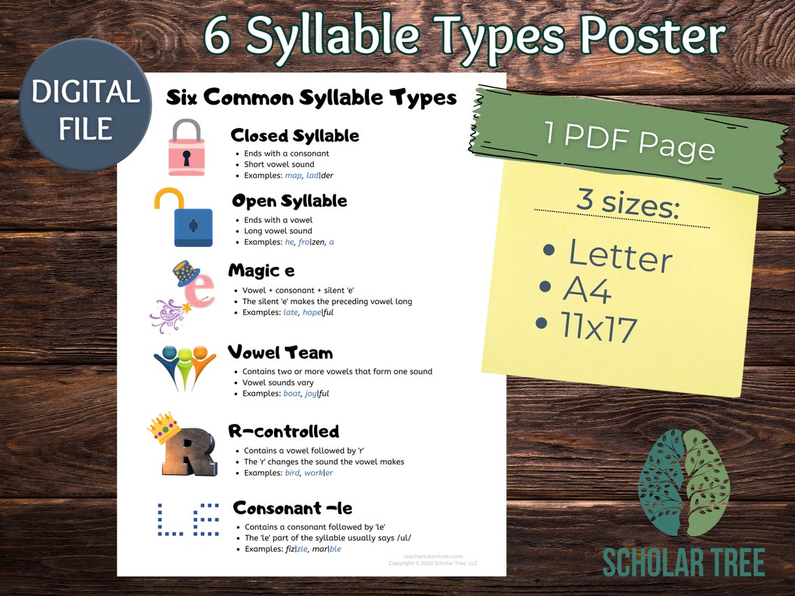 6 Syllable Types Poster, Phonics Printable, Reading Help, Digital PDF ...
