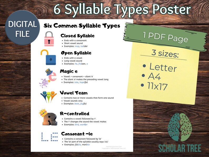 6 Syllable Types Poster, Phonics Printable, Reading Help, Digital PDF ...