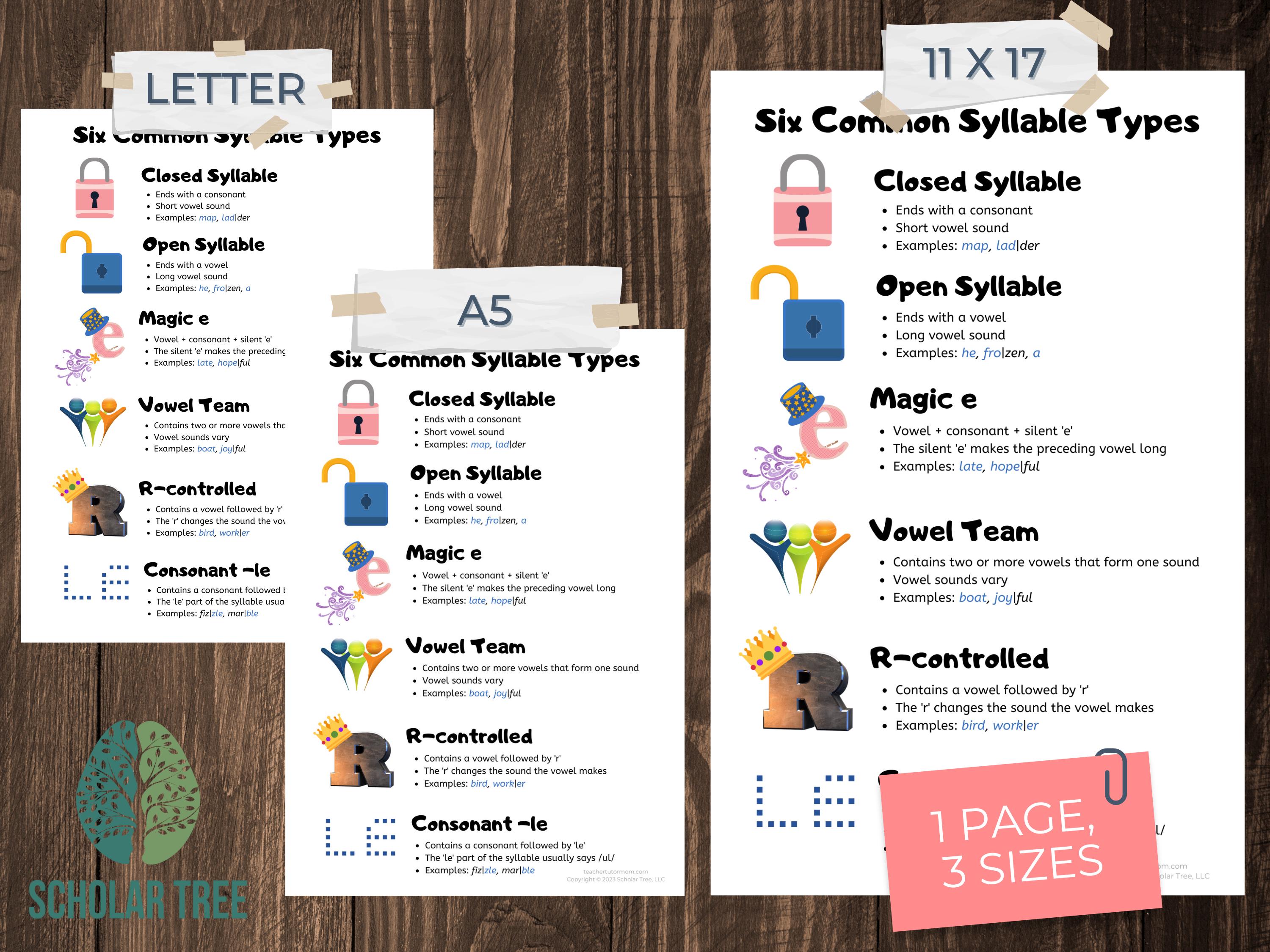 6 Syllable Types Poster for Reading and Phonics Classes - 3 Sizes: US ...