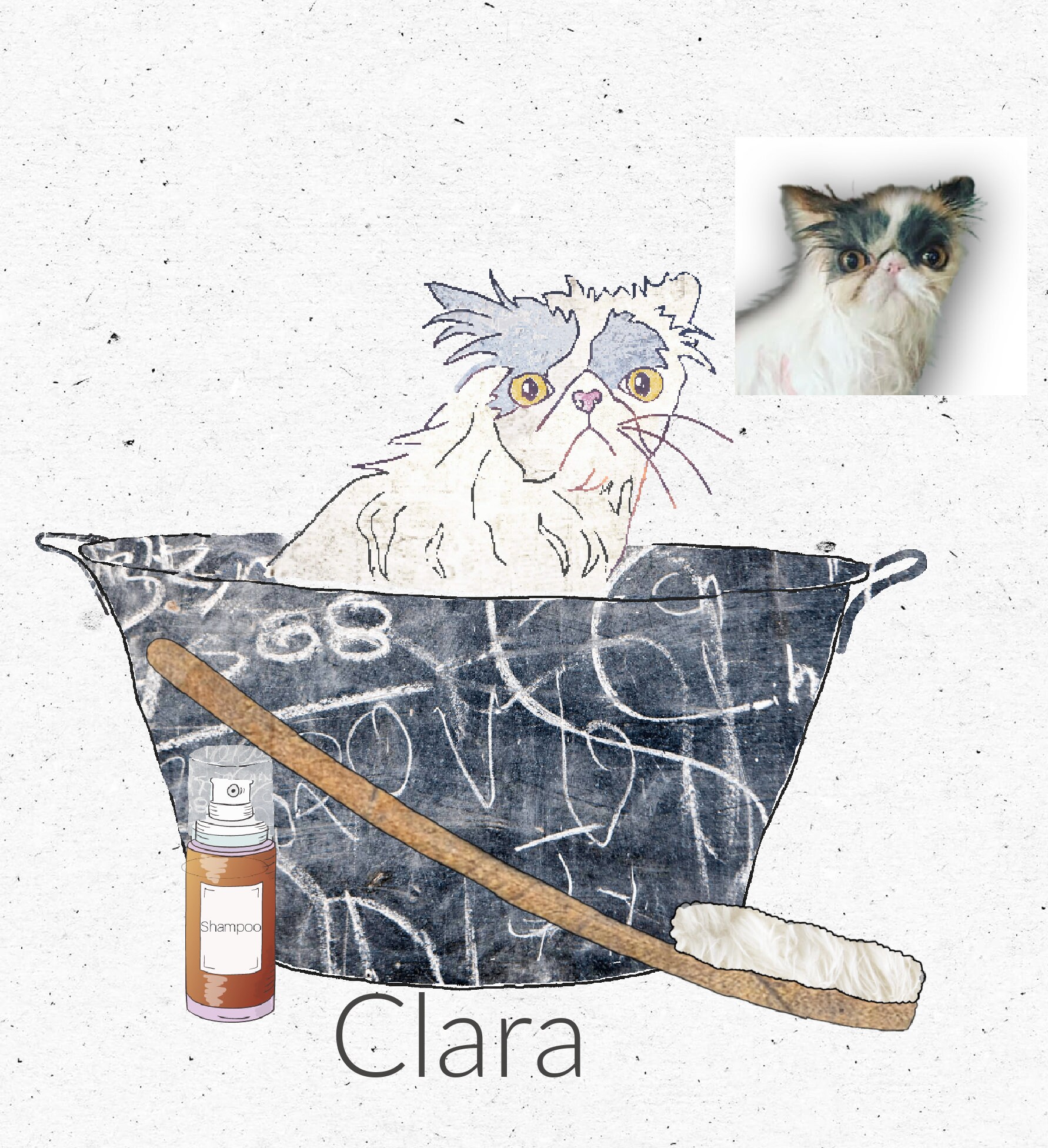 Bath Time Theme, Pet Portrait digital Download Print & Frame, or Create ...