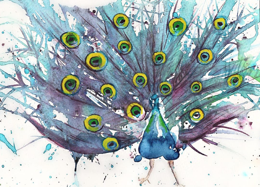 Peacock *PRINT* - Etsy