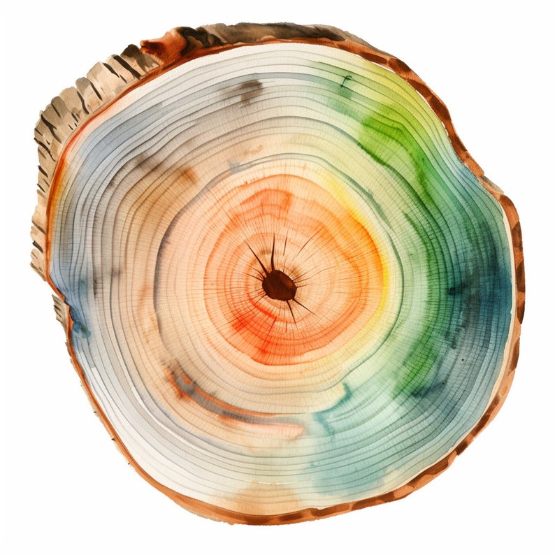 Tree Ring Wall Art in a Set of 4 to Be Downloaded and Printed. - Etsy
