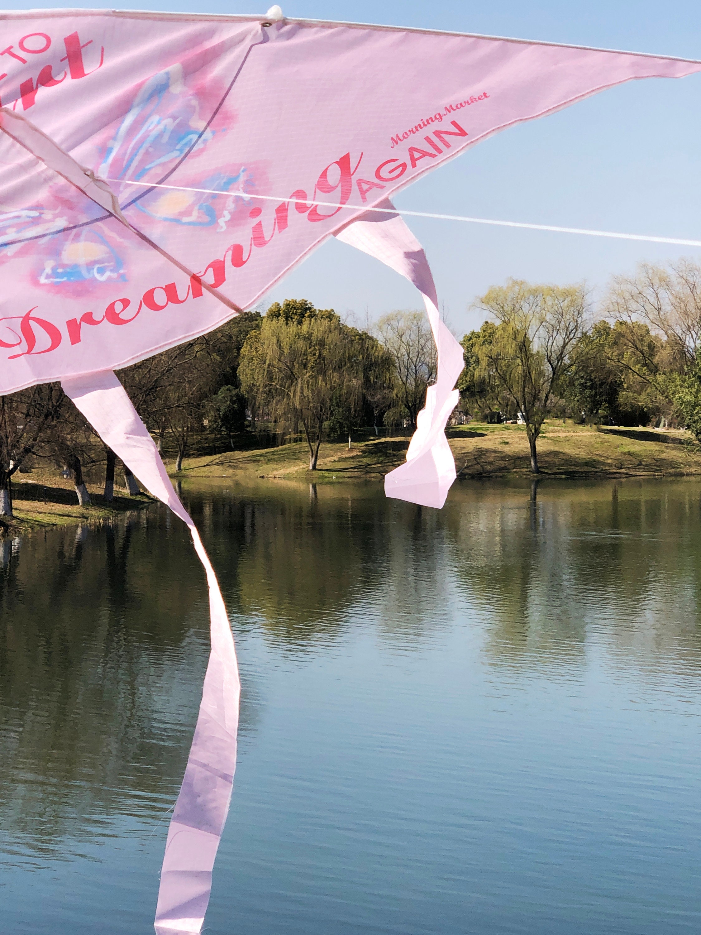 Pink Flying Kite Blue Flying Kite Dreamy Flying Kite Outdoor Toys ...