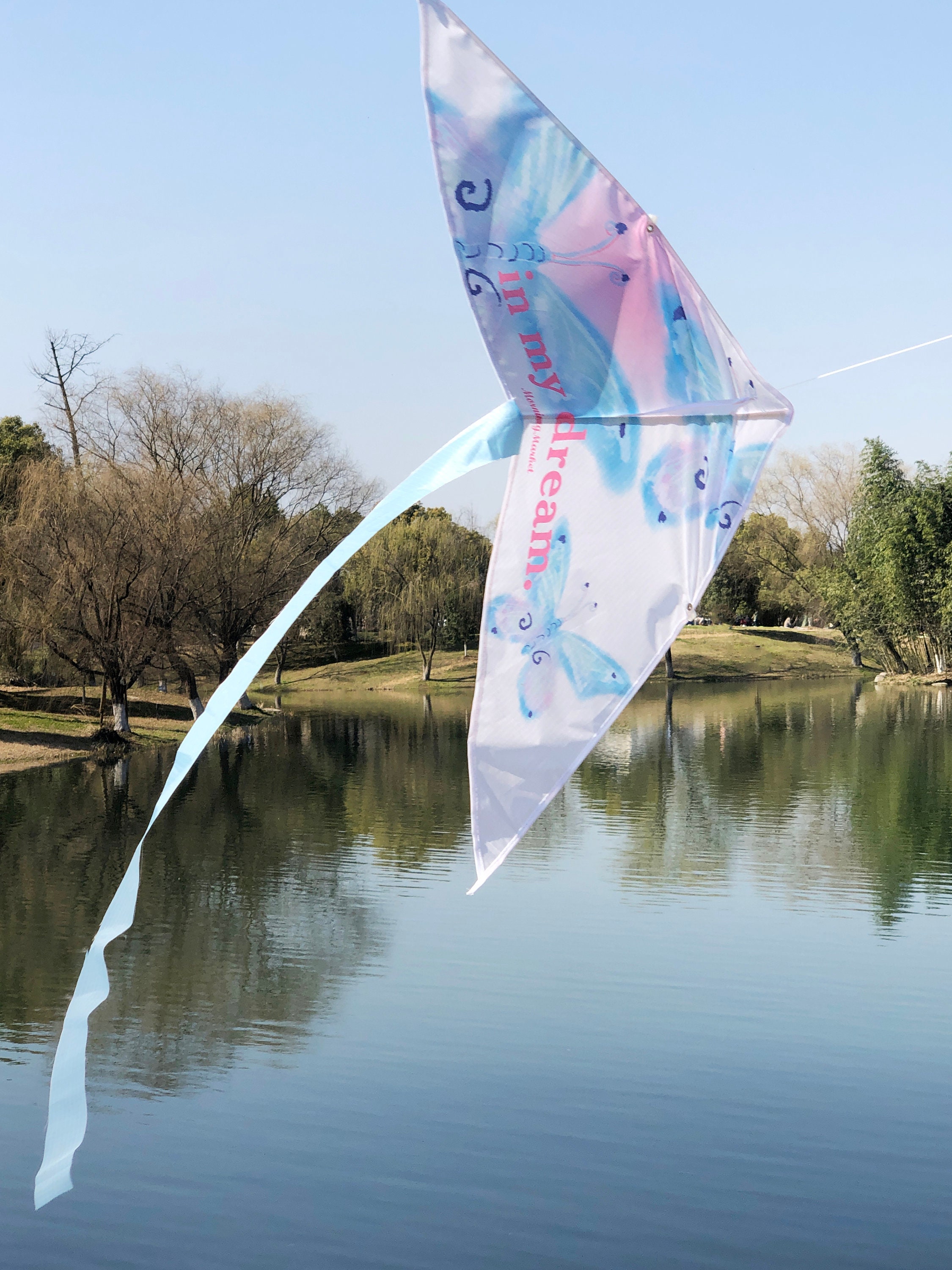 Pink Flying Kite Blue Flying Kite Dreamy Flying Kite Outdoor Toys ...