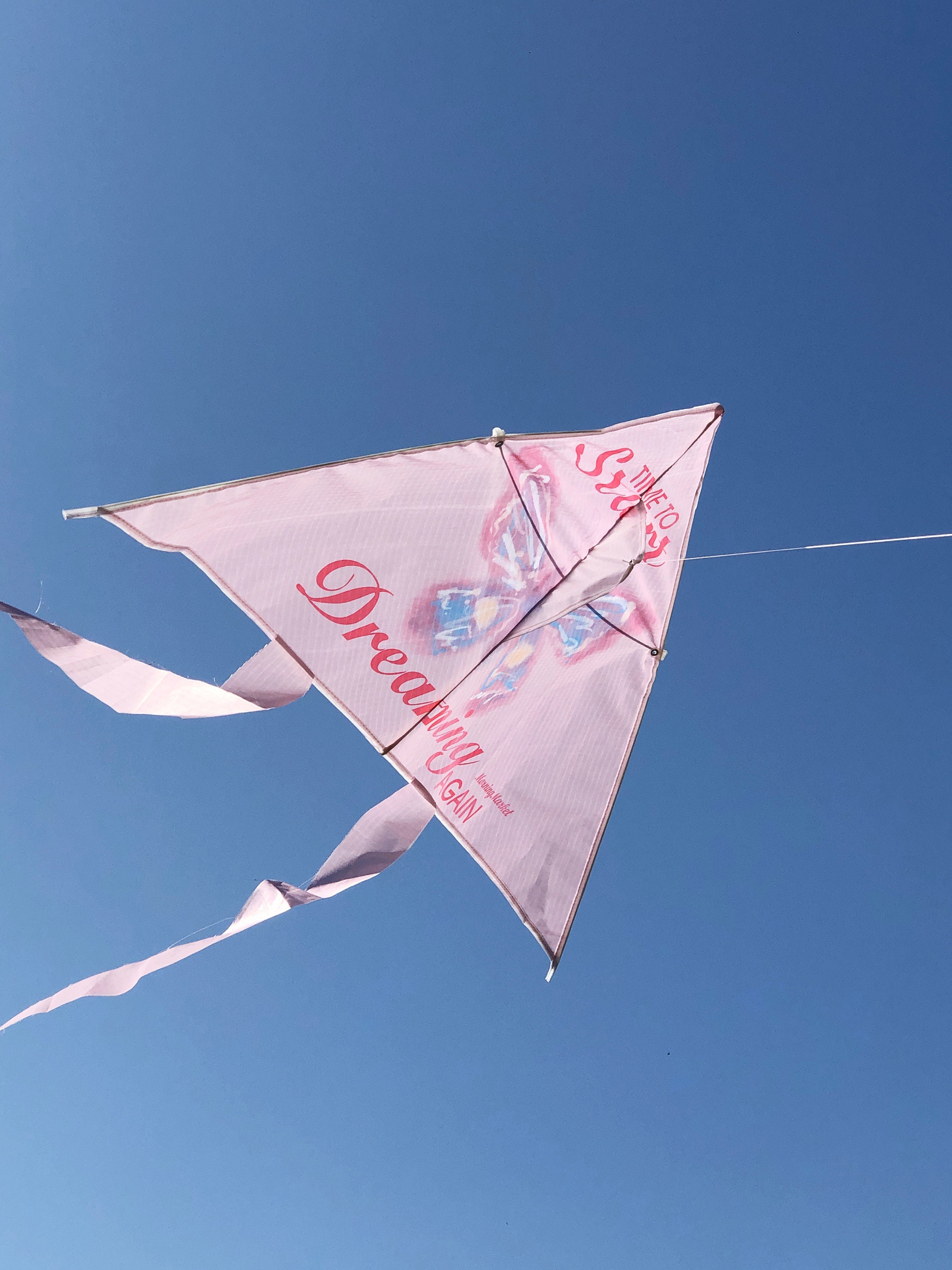 Pink Flying Kite Blue Flying Kite Dreamy Flying Kite Outdoor Toys ...