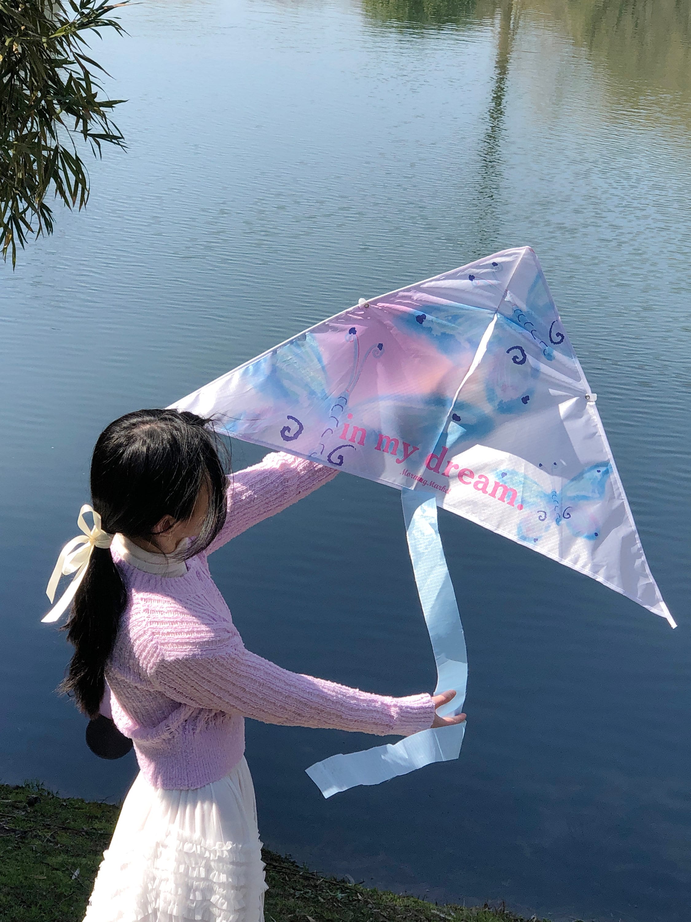 Pink Flying Kite Blue Flying Kite Dreamy Flying Kite Outdoor Toys ...
