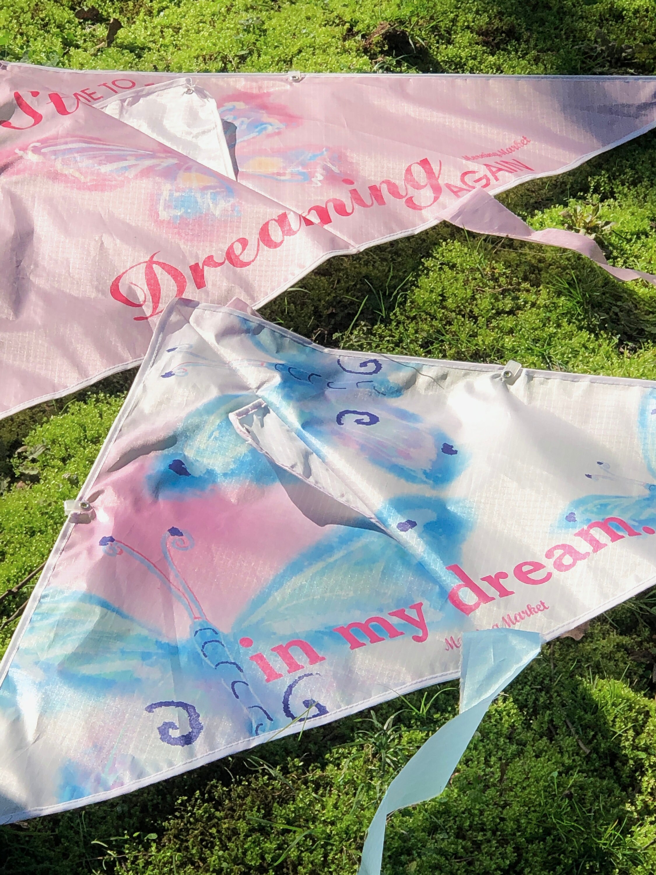 Pink Flying Kite Blue Flying Kite Dreamy Flying Kite Outdoor Toys ...