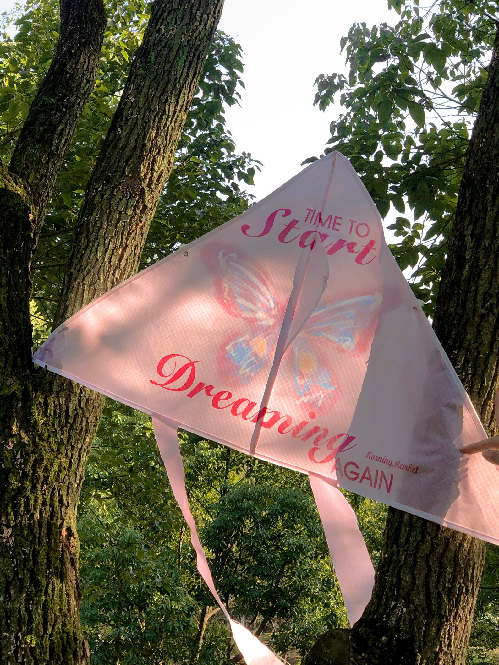 Pink Flying Kite | Blue Flying Kite | Dreamy Flying Kite | Outdoor Toys ...