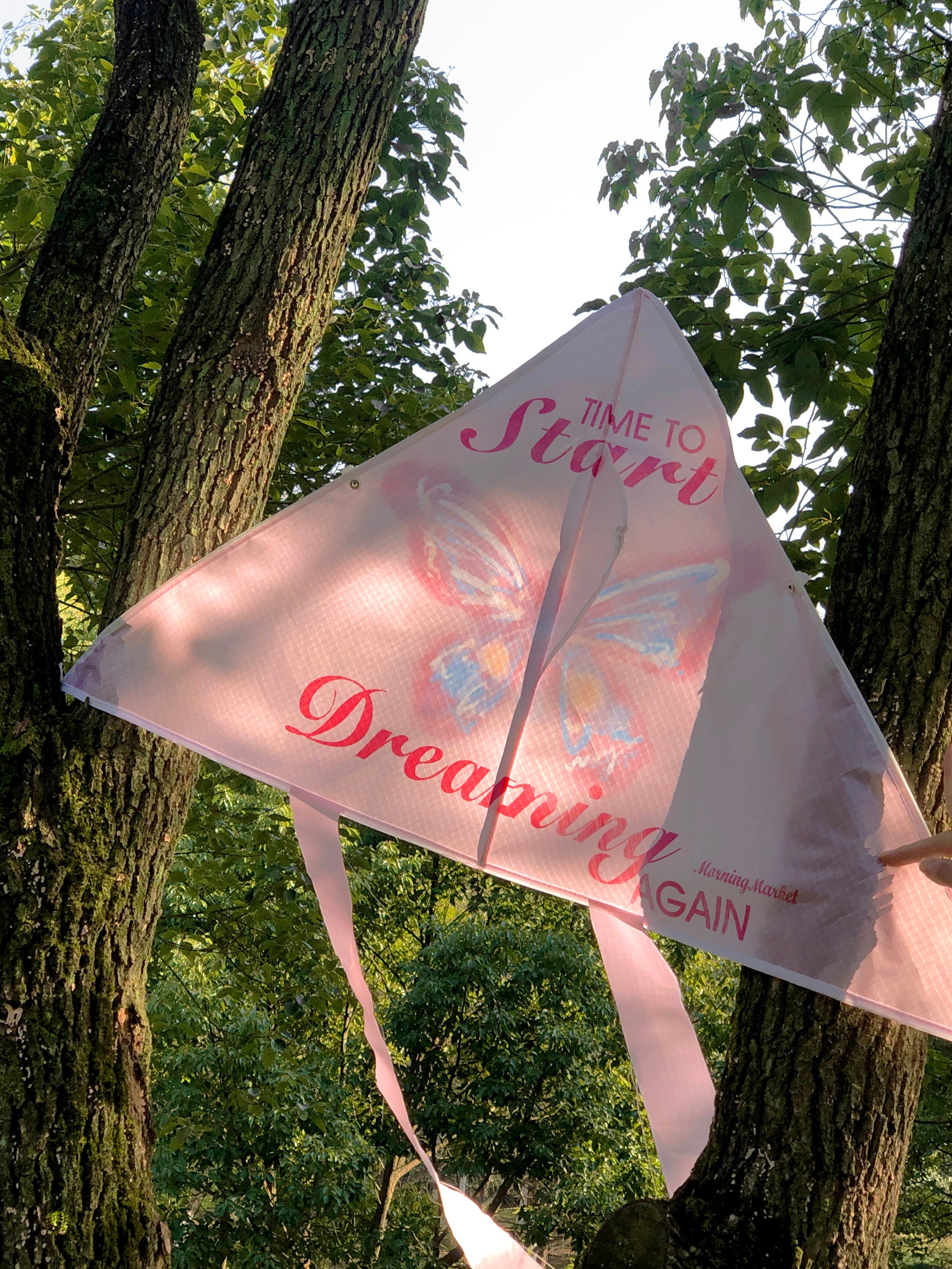 Pink Flying Kite Blue Flying Kite Dreamy Flying Kite Outdoor Toys ...