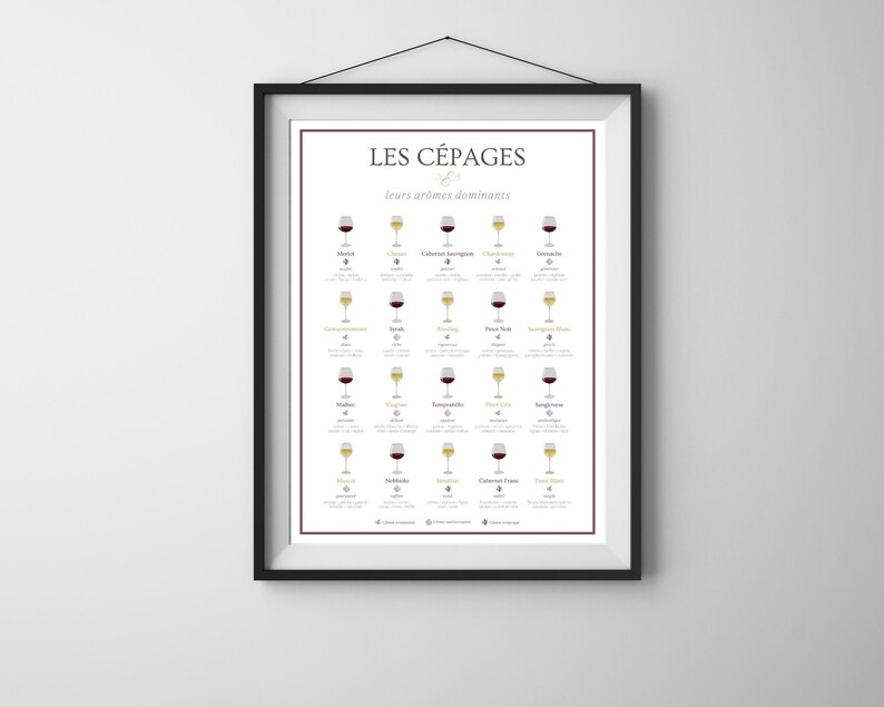 French Wine Print Wine Types and Tasting Notes Bar Wall Art - Etsy