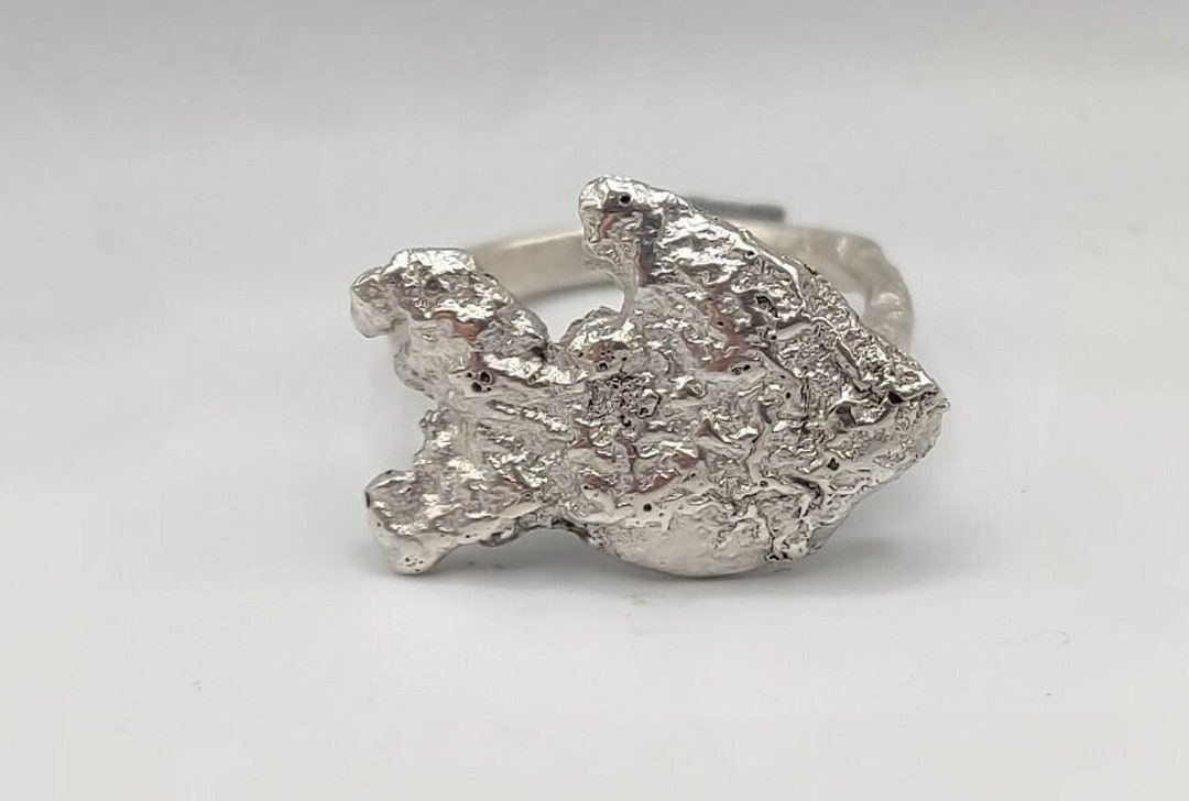 Molten Silver Fish Ring Patterned Unusual Avant Garde Natural Organic ...