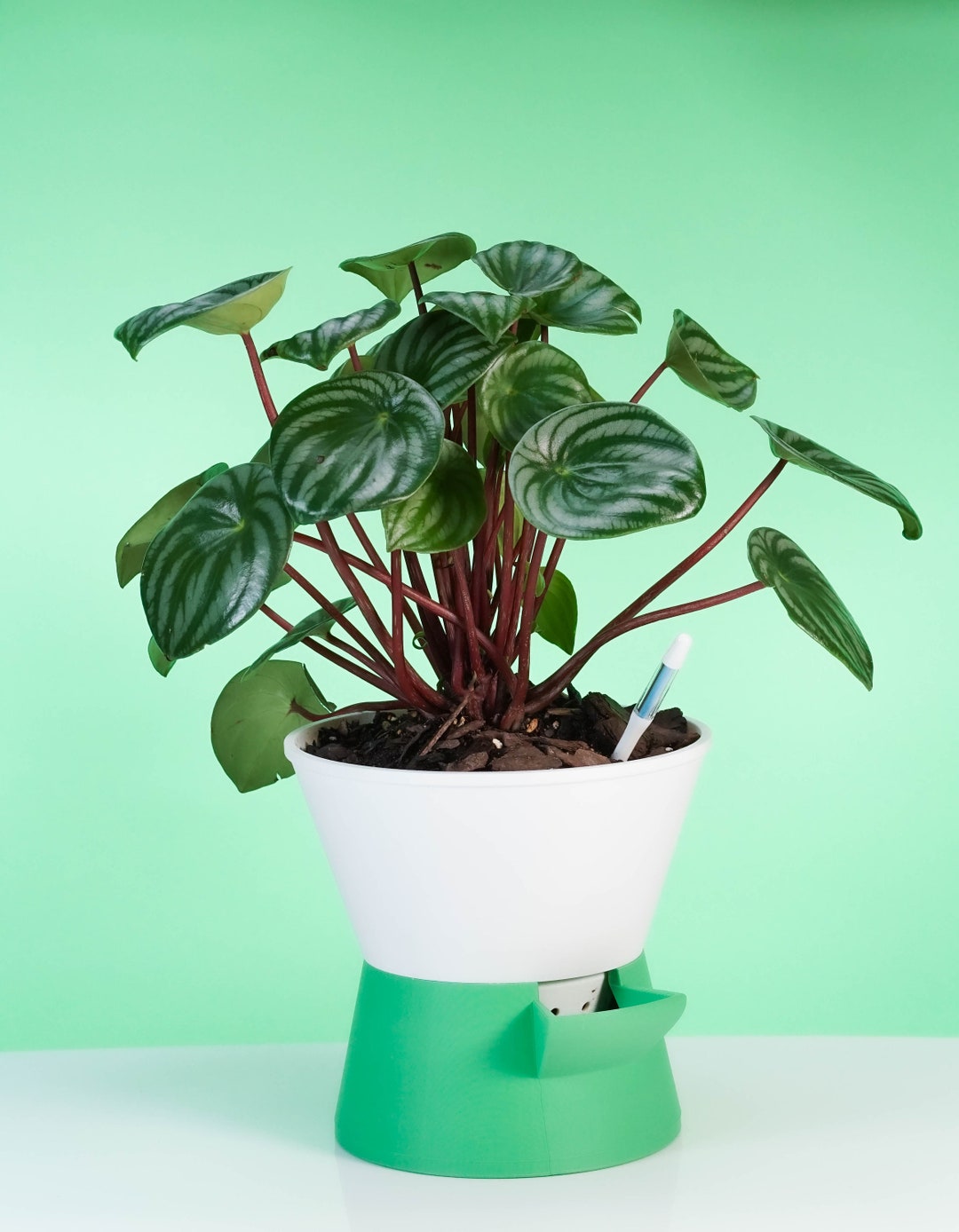 Colorful LARGE 200mm Houseplant Planter: Mix and Match to Create Your ...