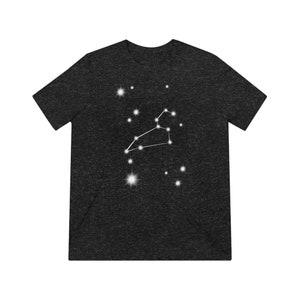Leo Zodiac Constellation Tee - Etsy