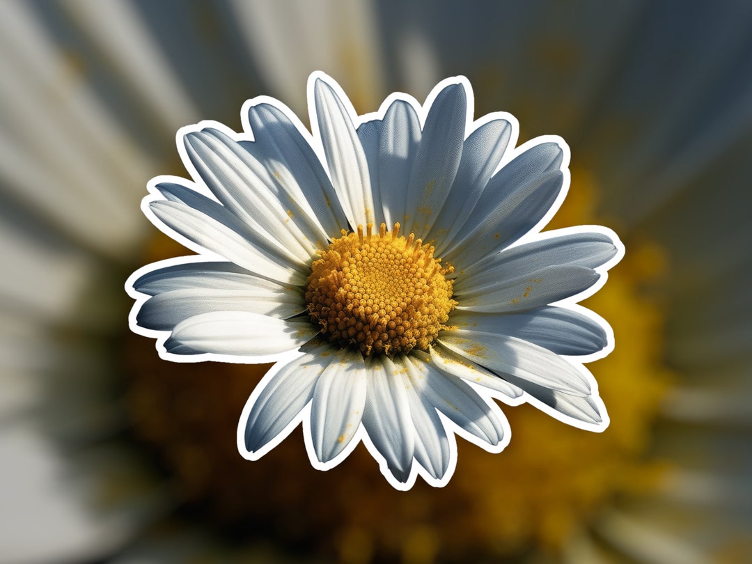 April Birth Flower Daisy | Daisy Sticker | Daisy Art | Birth Month ...
