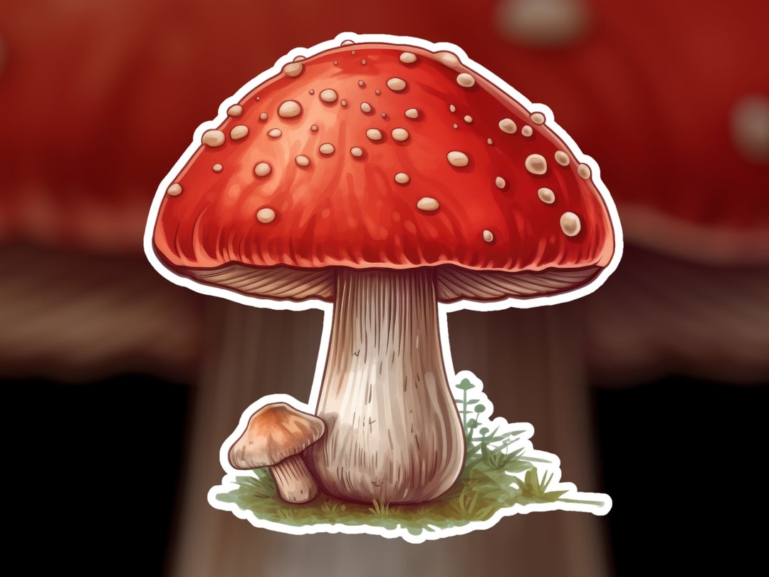 Mushroom Sticker | Fungi Sticker | Nature Sticker - Etsy