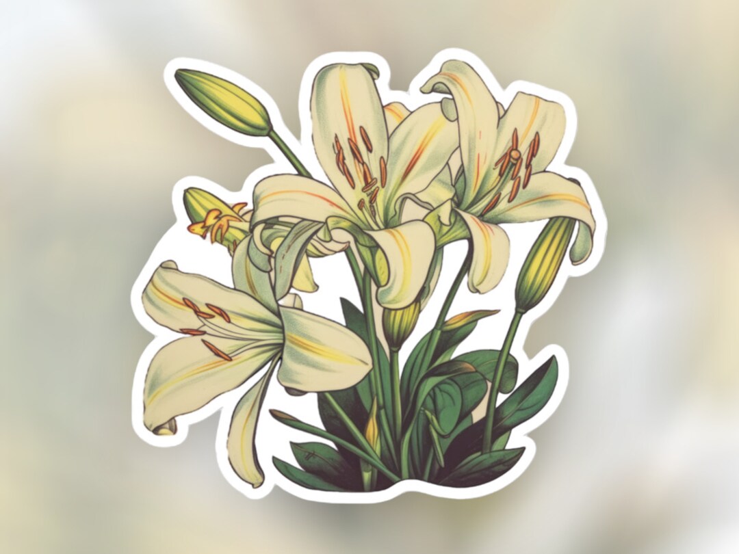 May Birth Flower Sticker | Lily Sticker | Birth Month Sticker | Birth ...