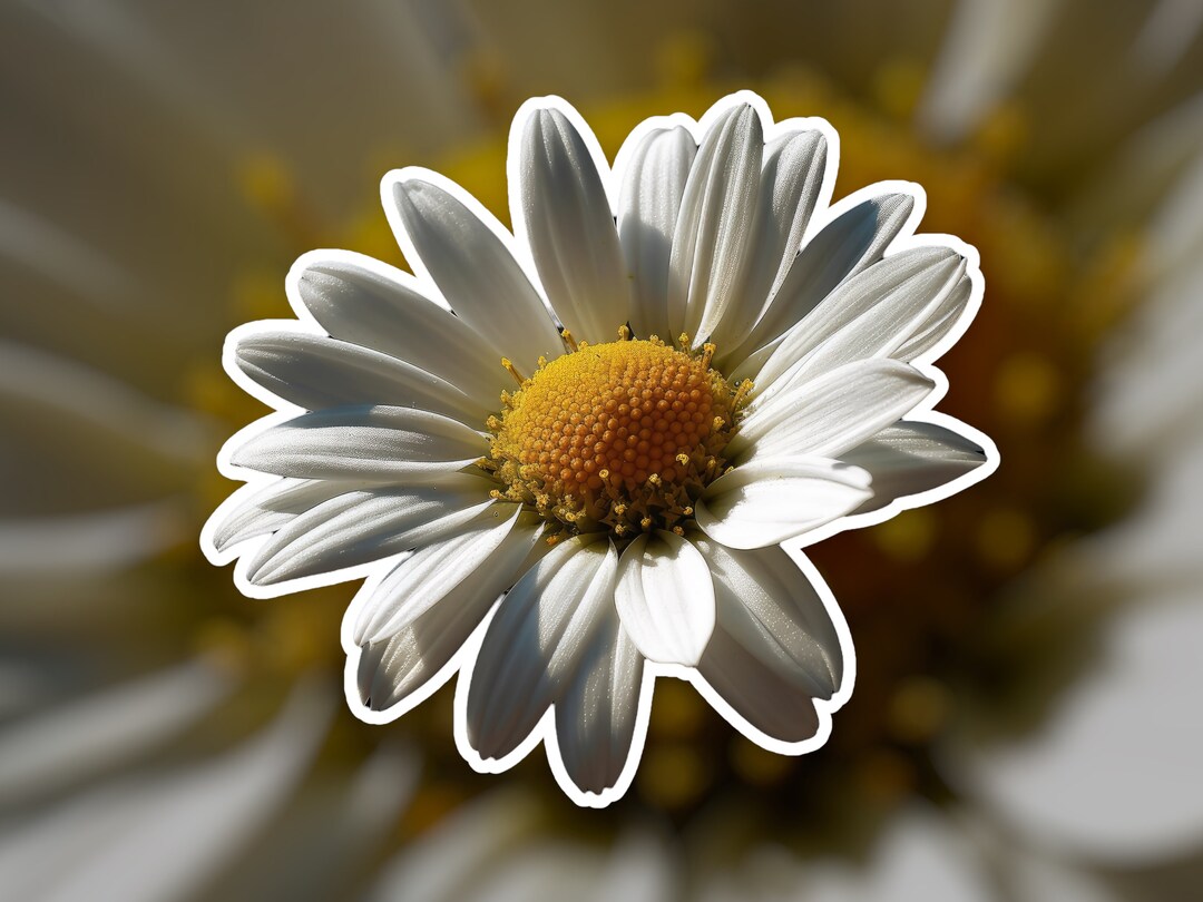April Birth Flower Daisy | Daisy Sticker | Daisy Art | Birth Month ...