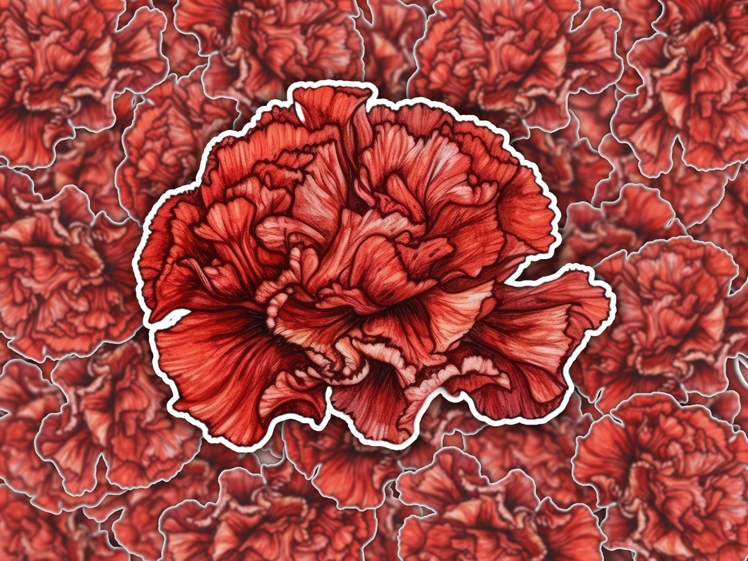 January Birth Flower Carnation Sticker | Laptop Sticker | Water Bottle ...