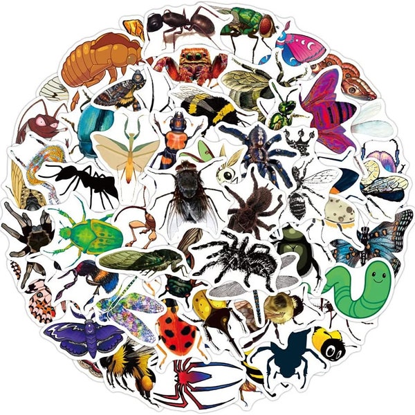 Insect Decals - Etsy