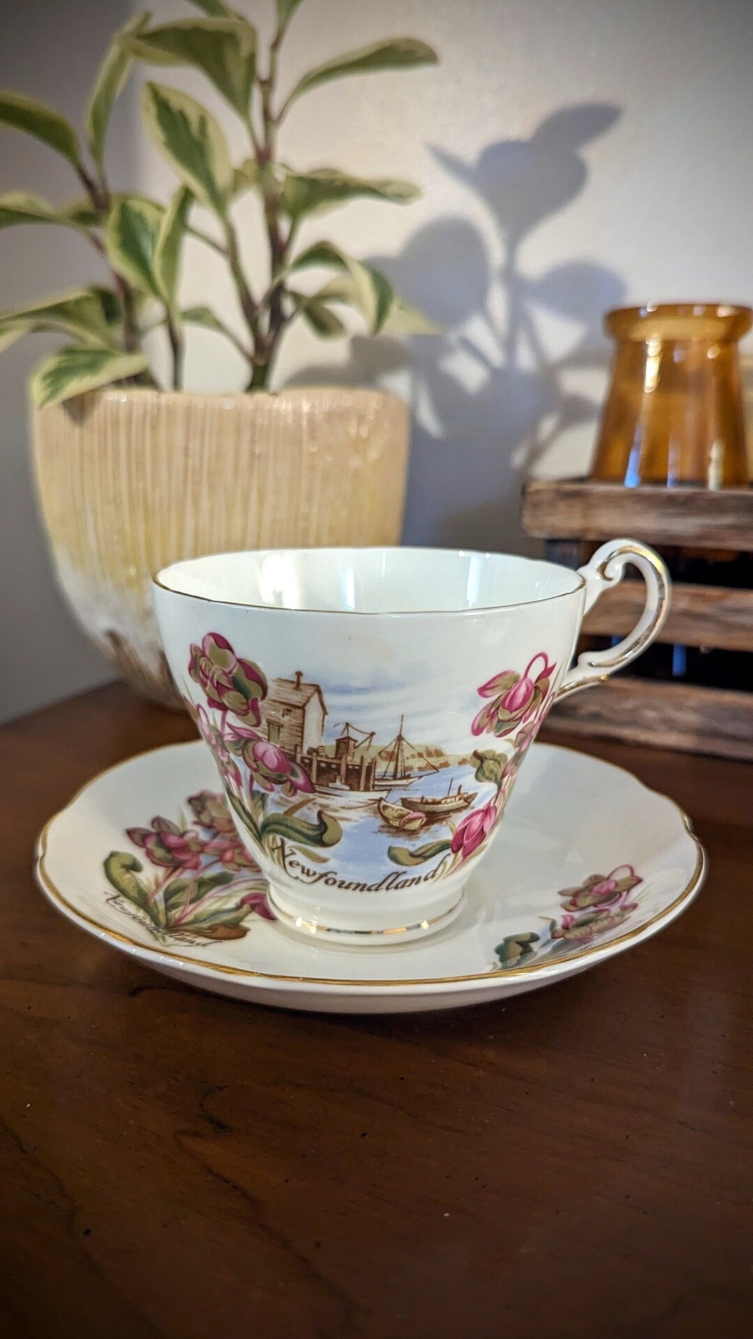 Royal Stuart Newfoundland Tea Cup and Saucer Bone China Made in England ...