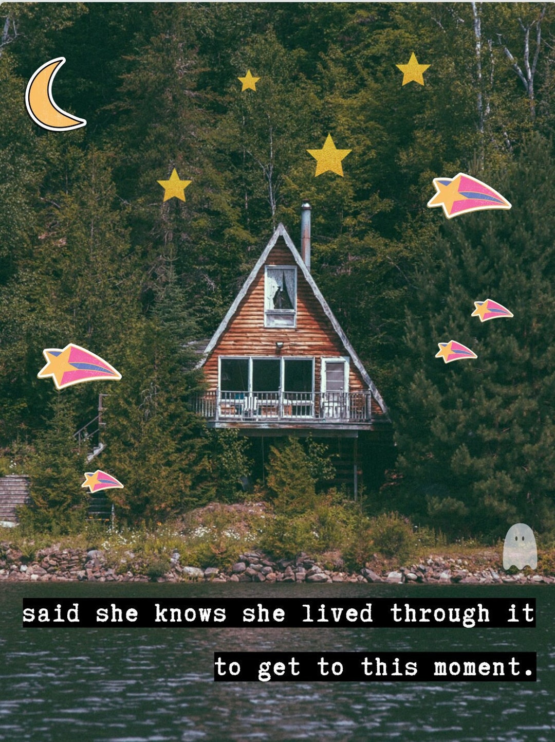 Phoebe Bridgers Graceland Too Print - Etsy