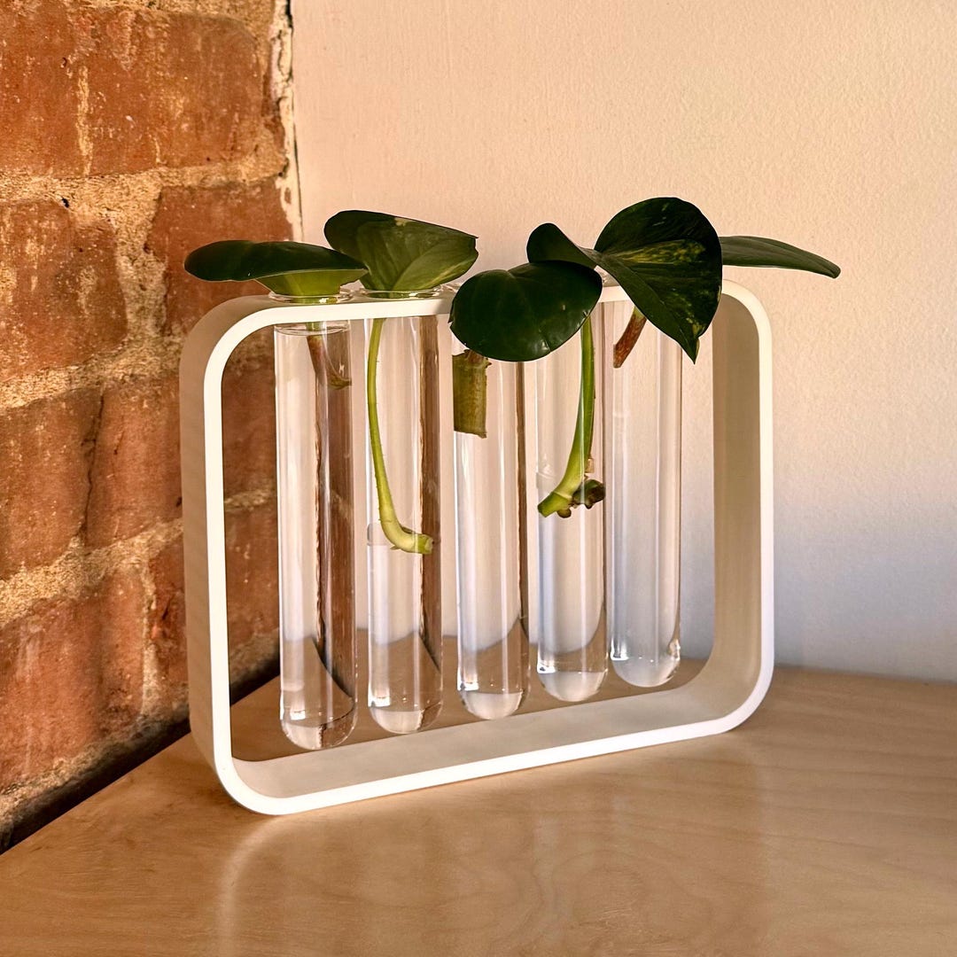 Propagation Station With Glass Test Tubes – Modern Plant Holder - Etsy
