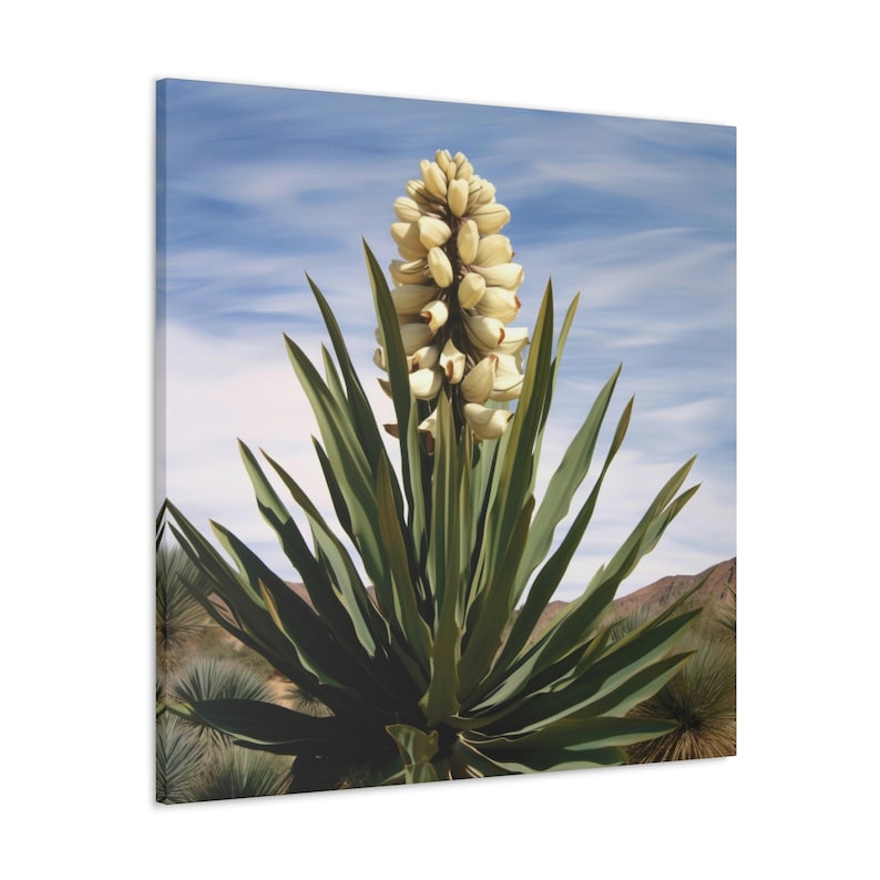 Yucca Art Print Southwest Wall Art Desert Wallart Southwestern Cactus ...