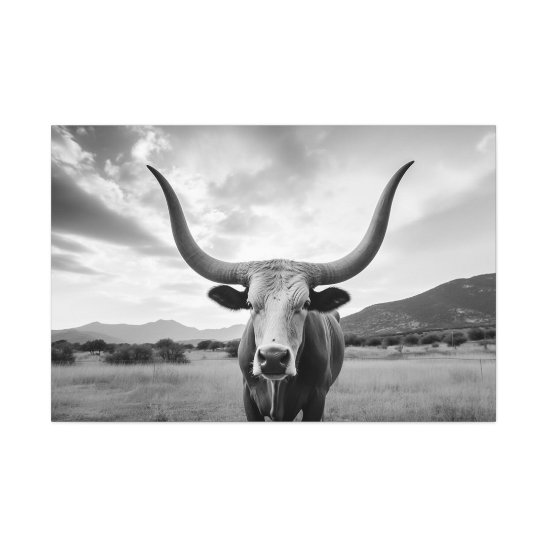 Large Longhorn Cow Art Texas Longhorn Artwork, Farm House Decor, Huge ...