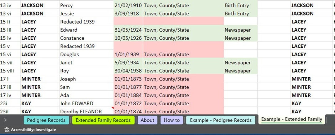 Genealogy Family Tree Keep Track of Your Records spreadsheet - Etsy