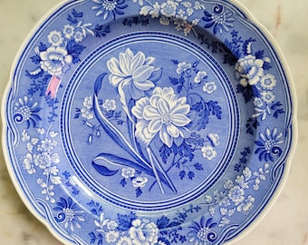 Vintage Spode Blue Room Collection Georgian BOTANICAL - Etsy
