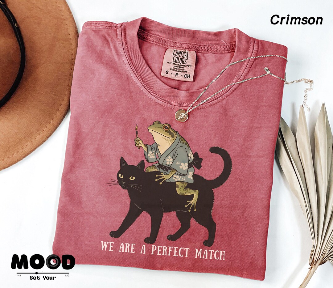 We Are A Perfect Match-funny Frog and Cat Comfort Colors®shirt ...