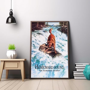 Homeward Bound the Incredible Journey Movie Poster, Homeward Bound the ...