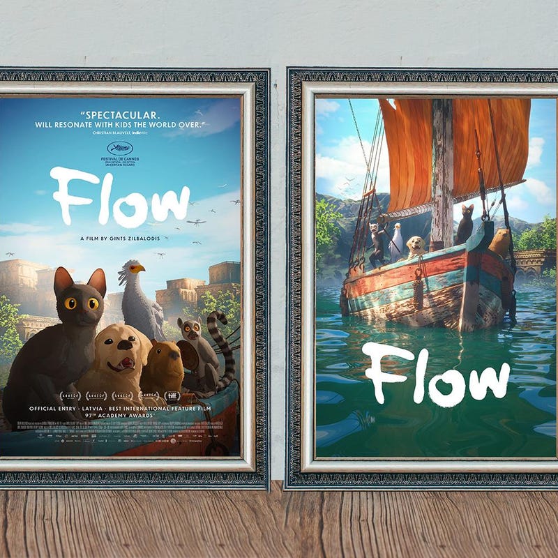 Flow Movie - Etsy