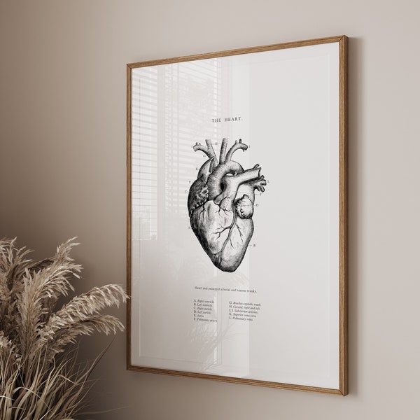 Heart Poster - Etsy