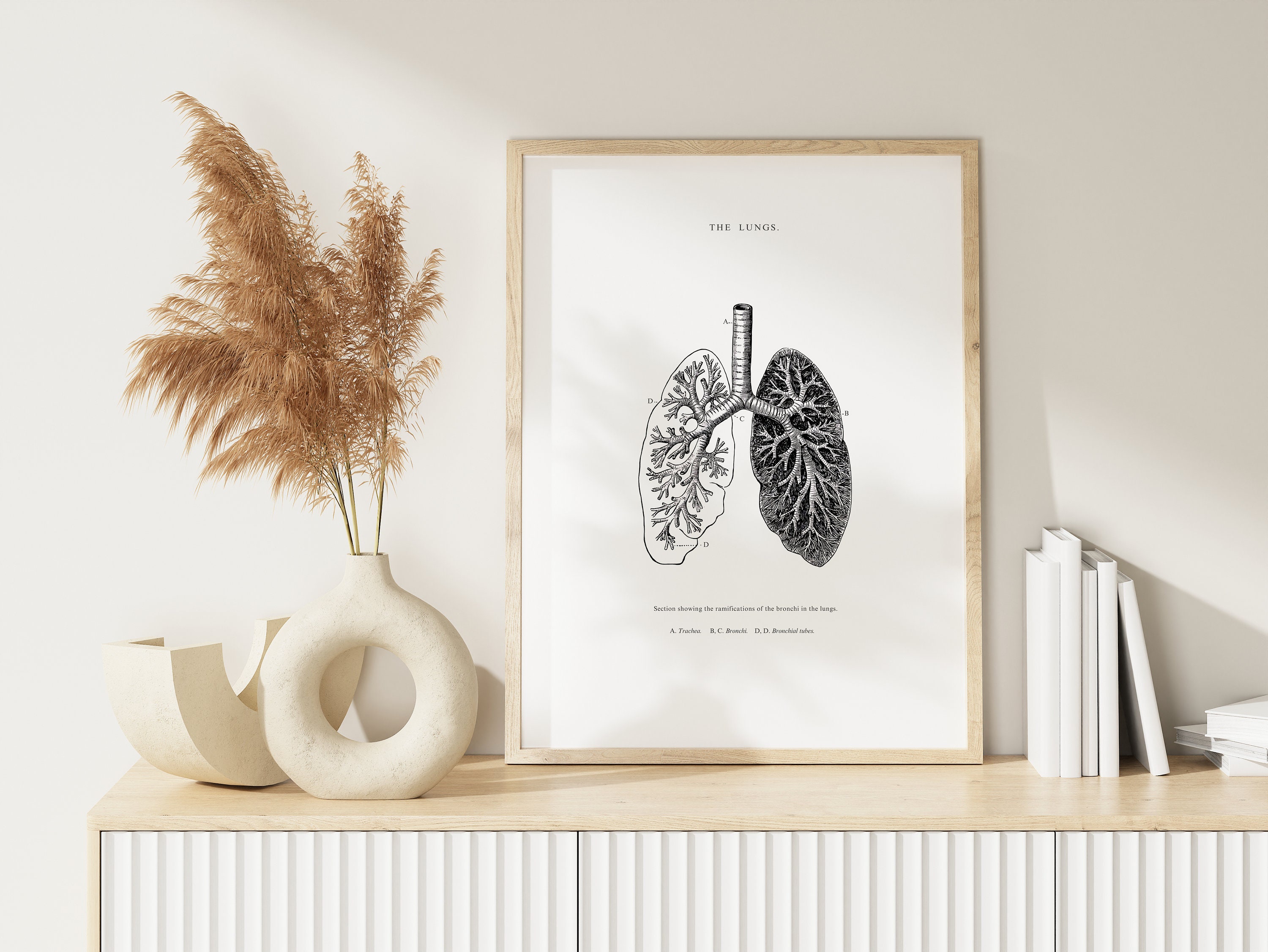 Human Lungs Printable - Human Anatomy Wall Art - Vintage Anatomy ...