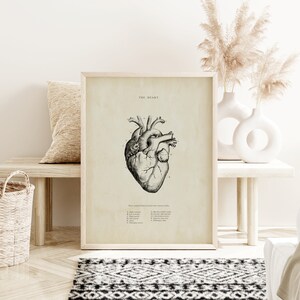 Anatomical Heart Print - Printable Wall Art - Heart Wall Art - Vintage ...